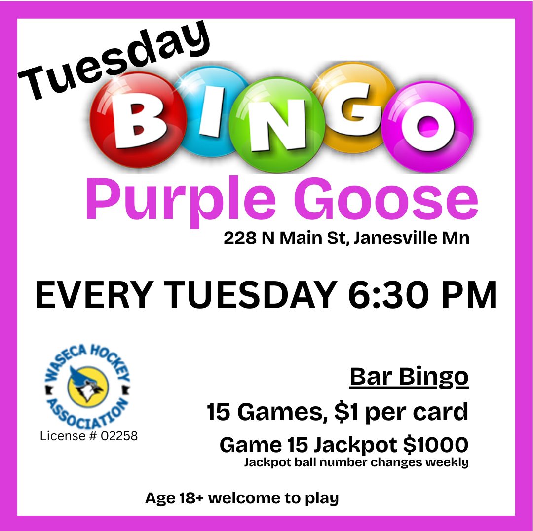 Purple Goose (1) – Janesville Journal